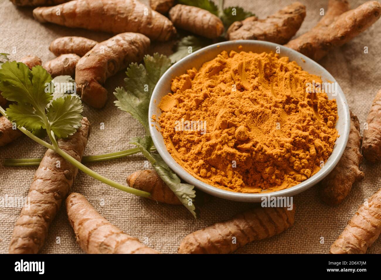 Turmeric powder and roots with coriander. Indian spices Stock Photo - Alamy