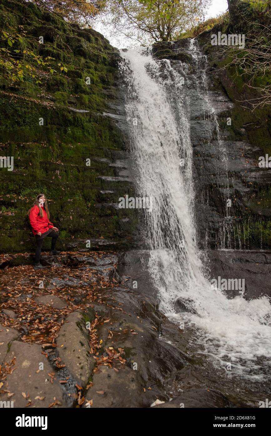 Talybont forest hi-res stock photography and images - Alamy