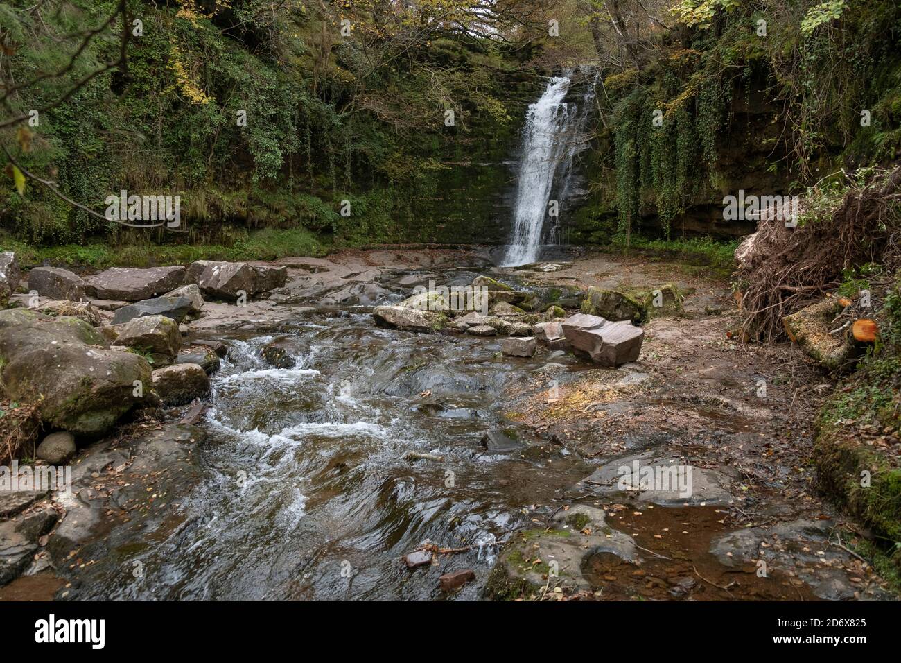 Blaen y Glyn Isaf, Talybont Forest, Brecon Beacons National Park ...