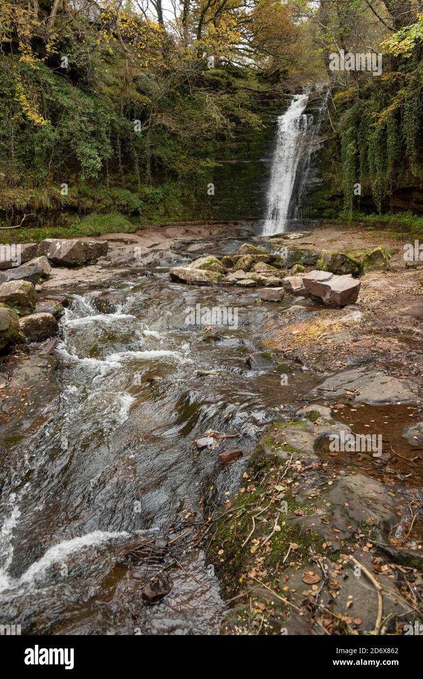 Talybont forest hi-res stock photography and images - Alamy