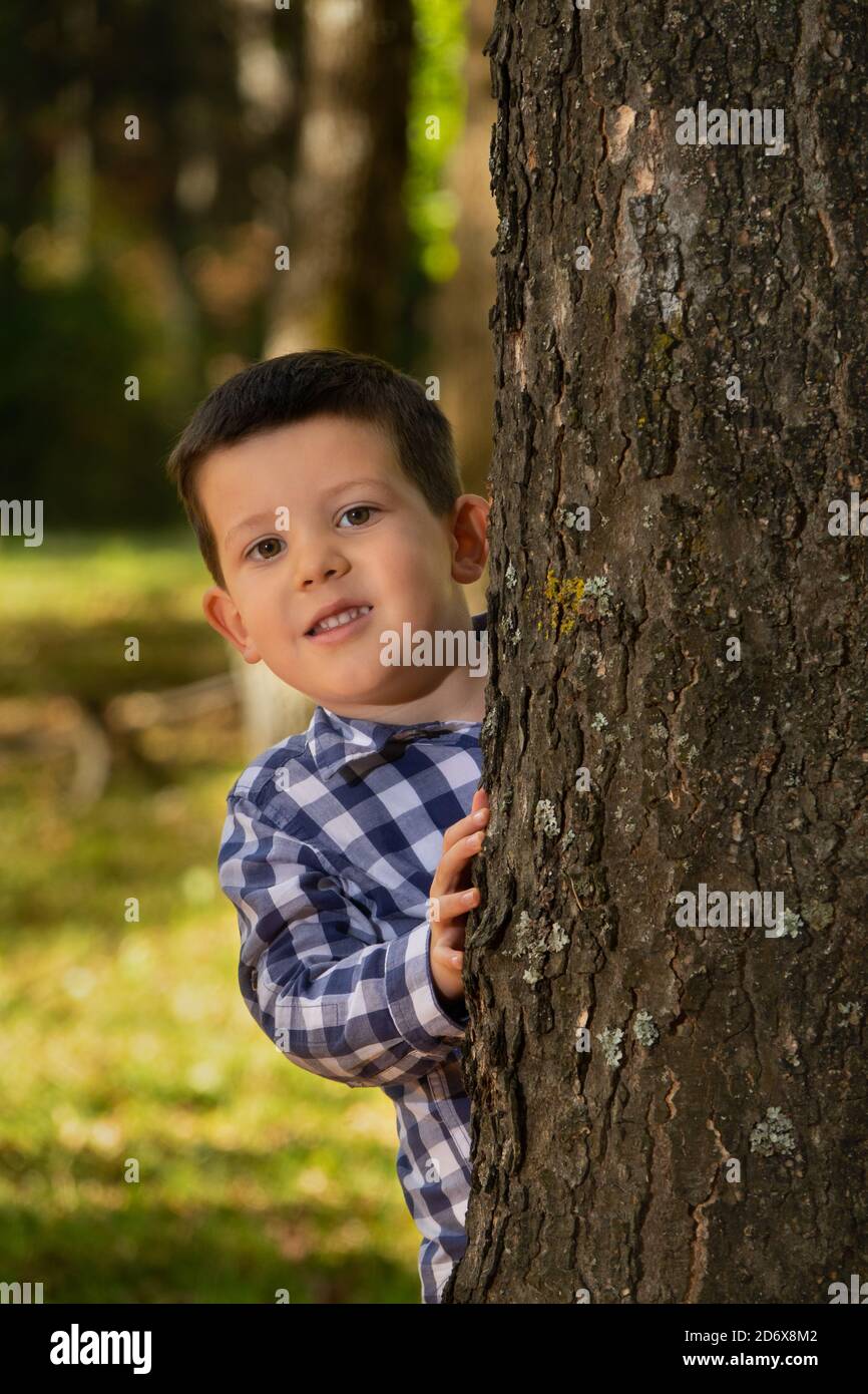 Boy peeks out from behind the tree Stock Photo - Alamy