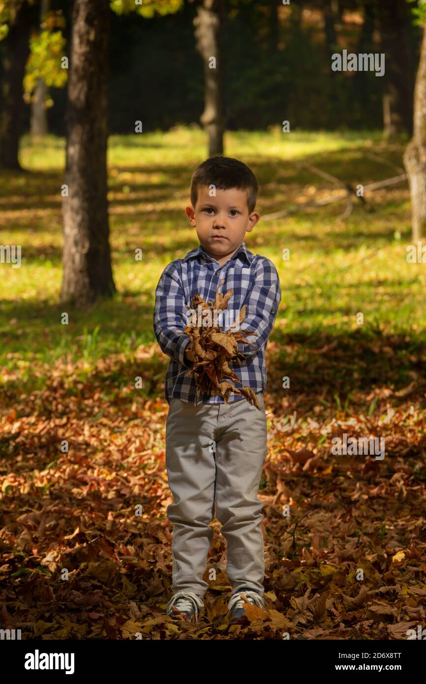 Boy holding leaves in his hands Stock Photo - Alamy