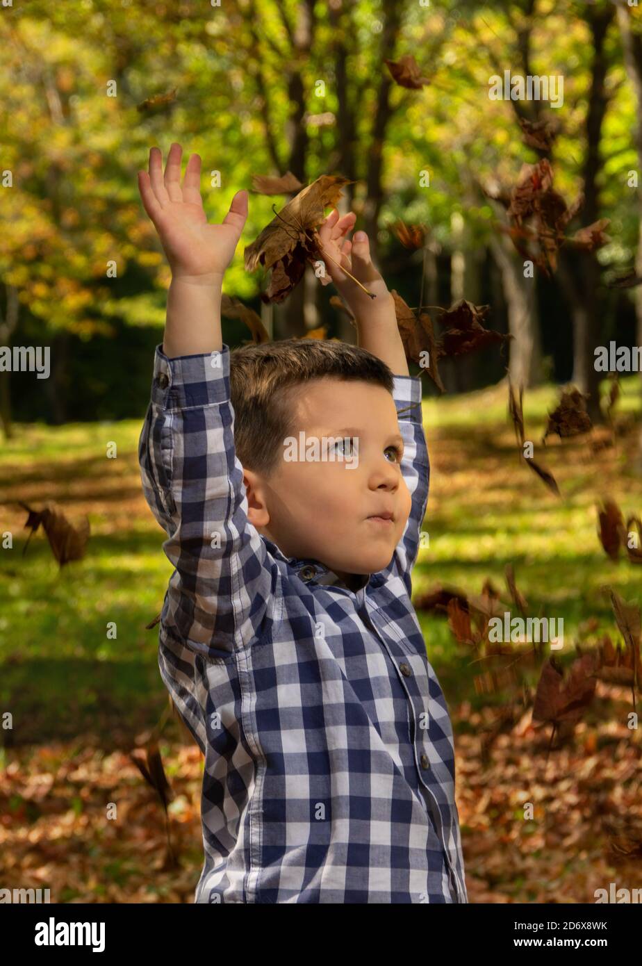 Boy traying to catch the leaves Stock Photo - Alamy