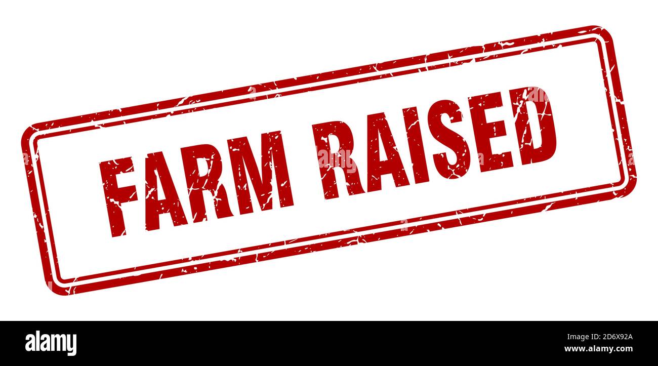 farm raised stamp. square grunge sign isolated on white background ...