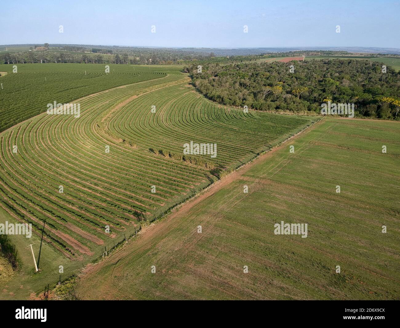 Aerial shot of a huge green field used for agricultural purposes Stock ...