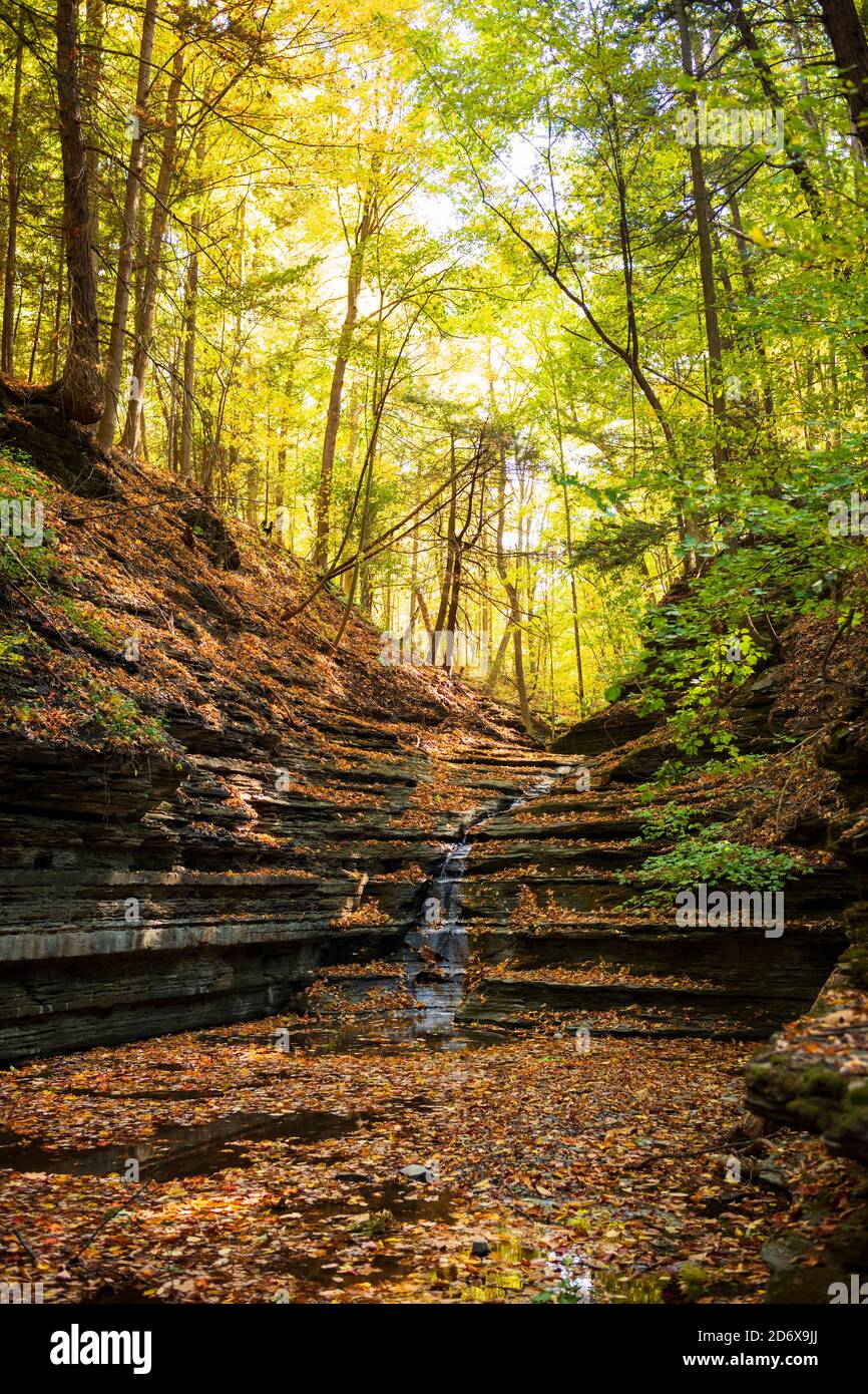 The waterfalls at Thayer Preserve Lick Brook flow at a trickle during ...