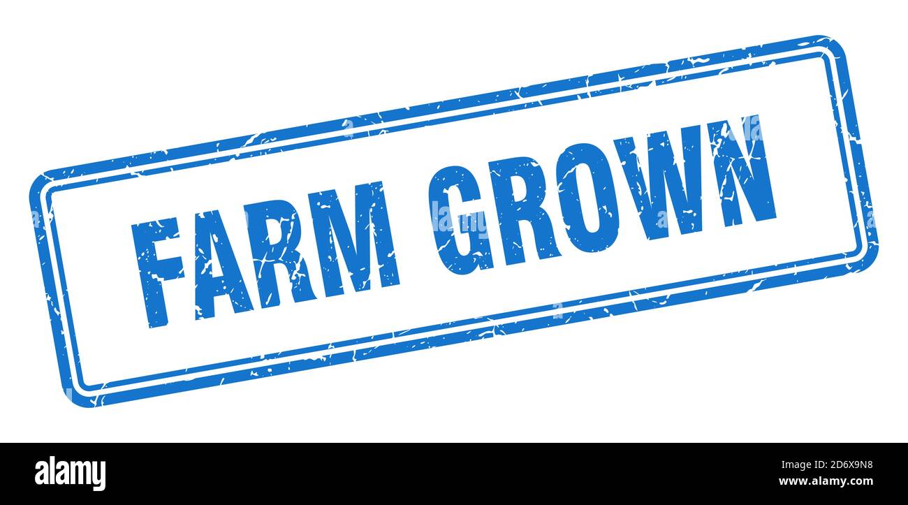 farm grown stamp. square grunge sign isolated on white background Stock ...