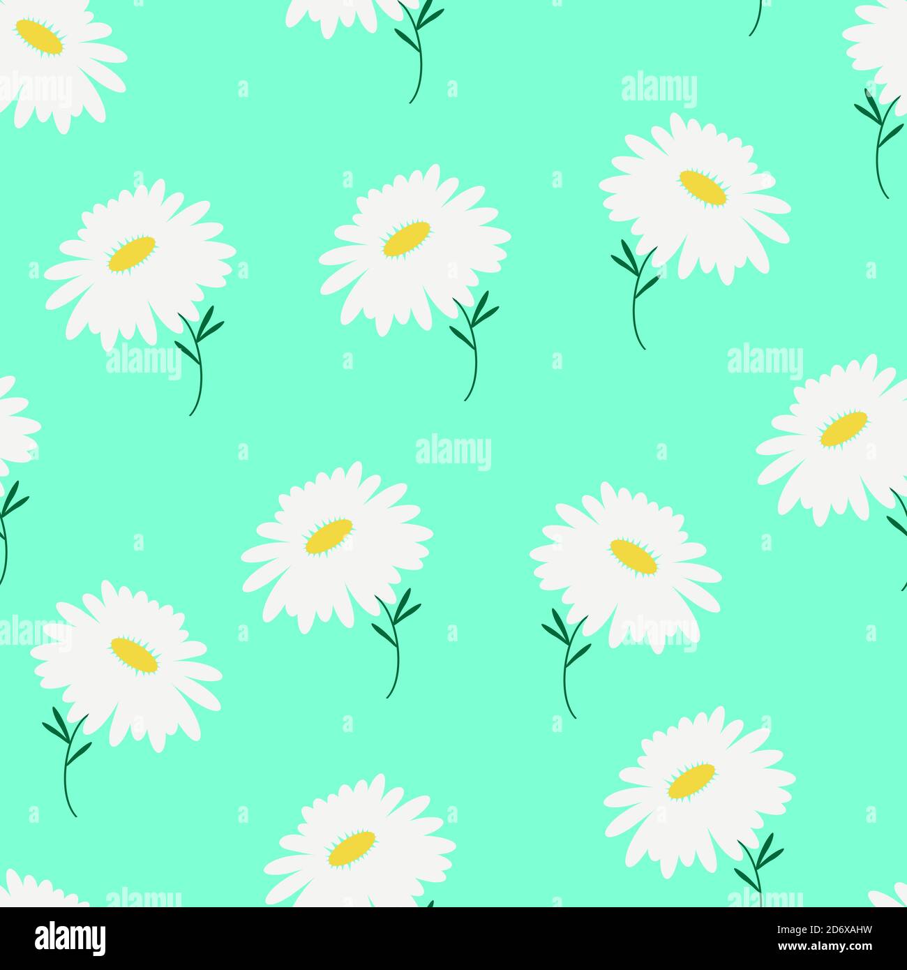 Ox eye daisy illustration Stock Vector Images - Alamy