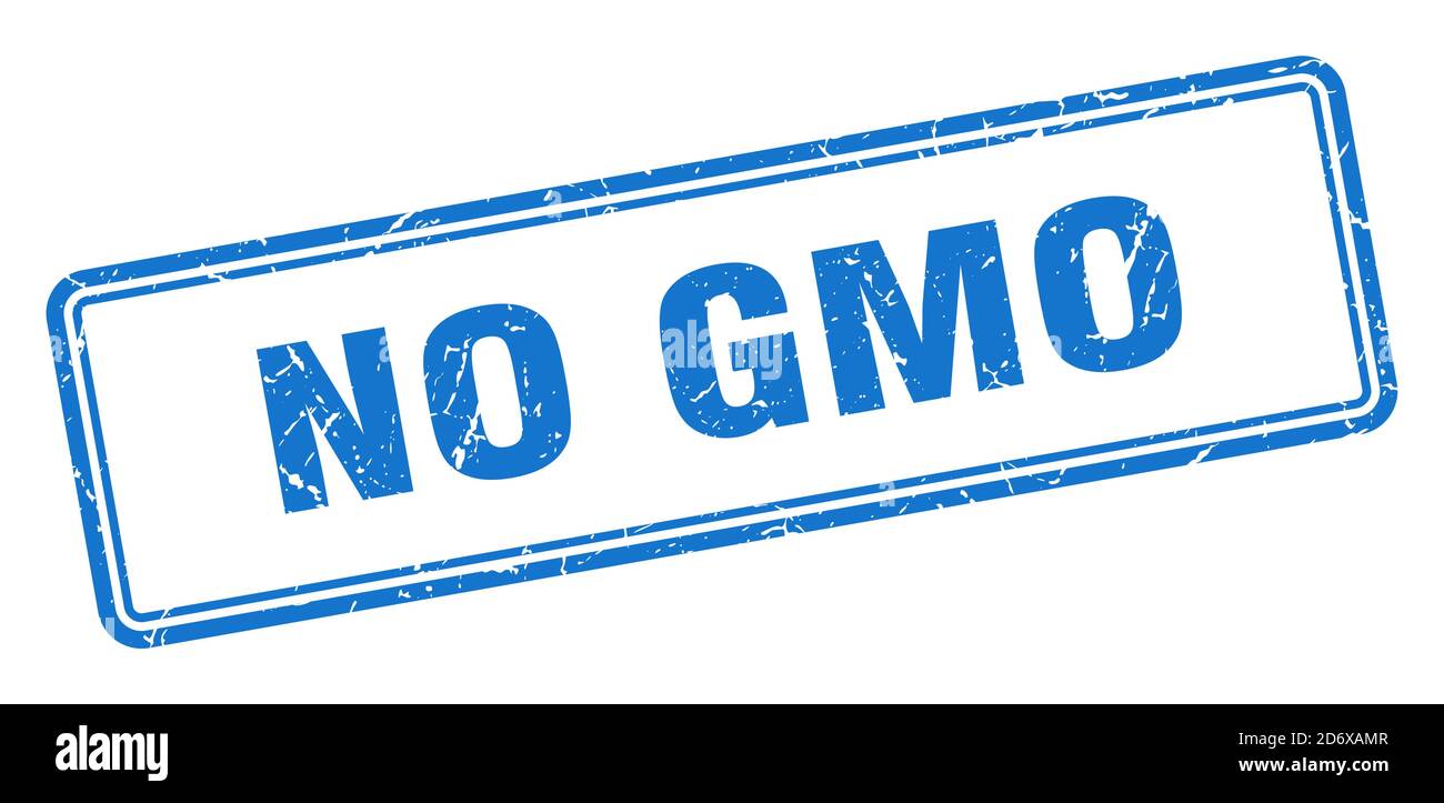 no gmo stamp. square grunge sign isolated on white background Stock ...