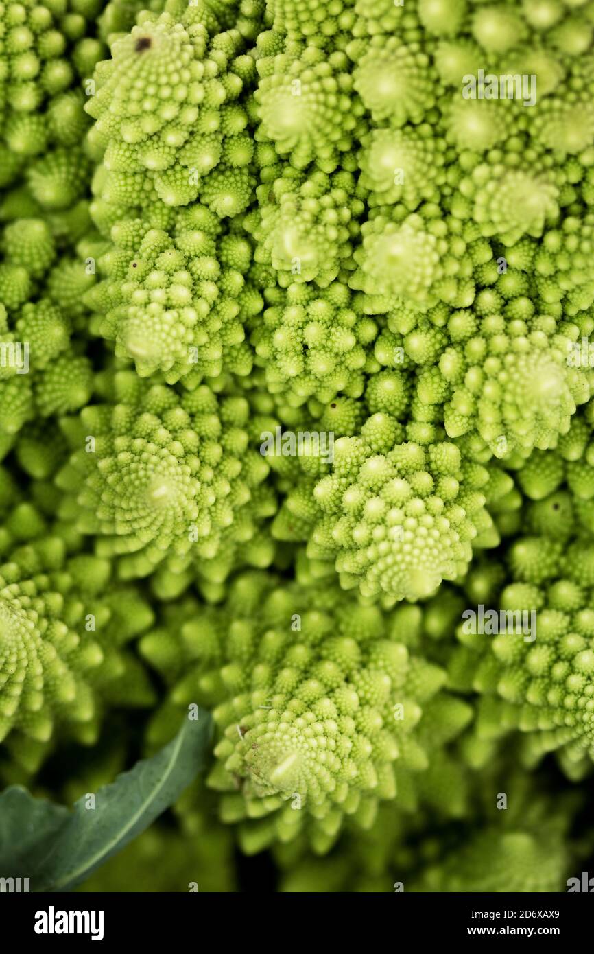 Top vertical view of romanesco broccoli Stock Photo - Alamy