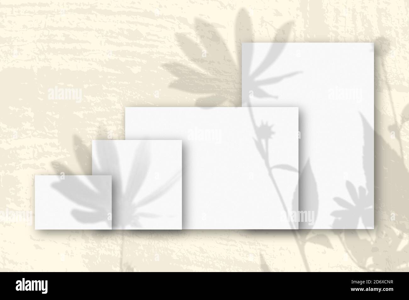 Several horizontal and vertical sheets of white textured paper against ...
