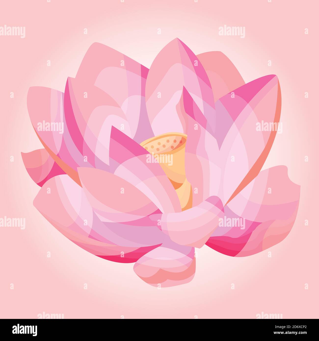 vector illustration of a Lotus Stock Vector Image & Art - Alamy