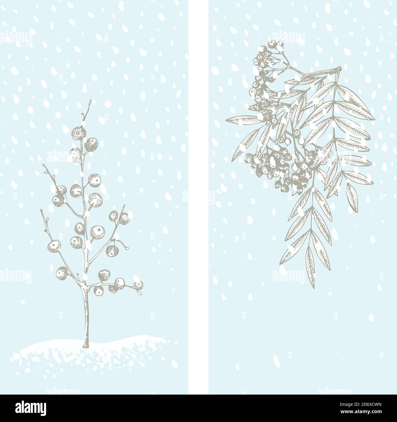 Holly berry snow Stock Vector Images - Alamy