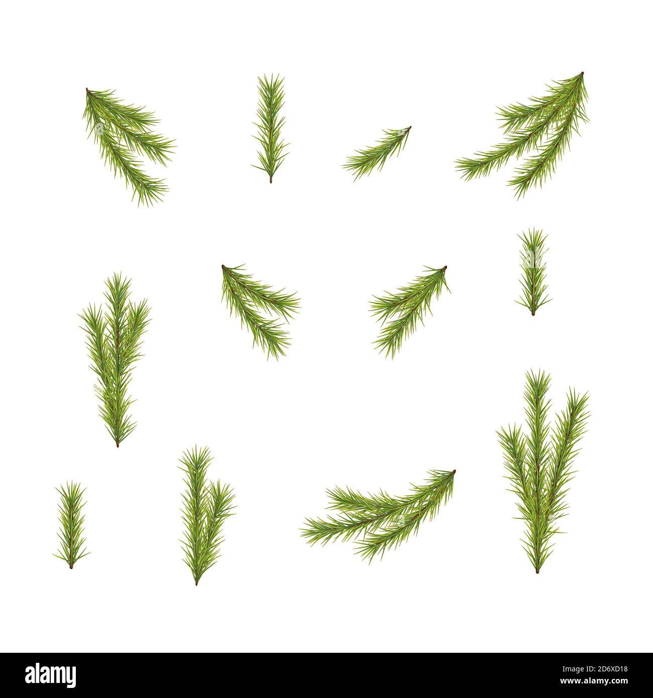 Pine fir branches. Set of christmas tree branches on white. Spruce ...