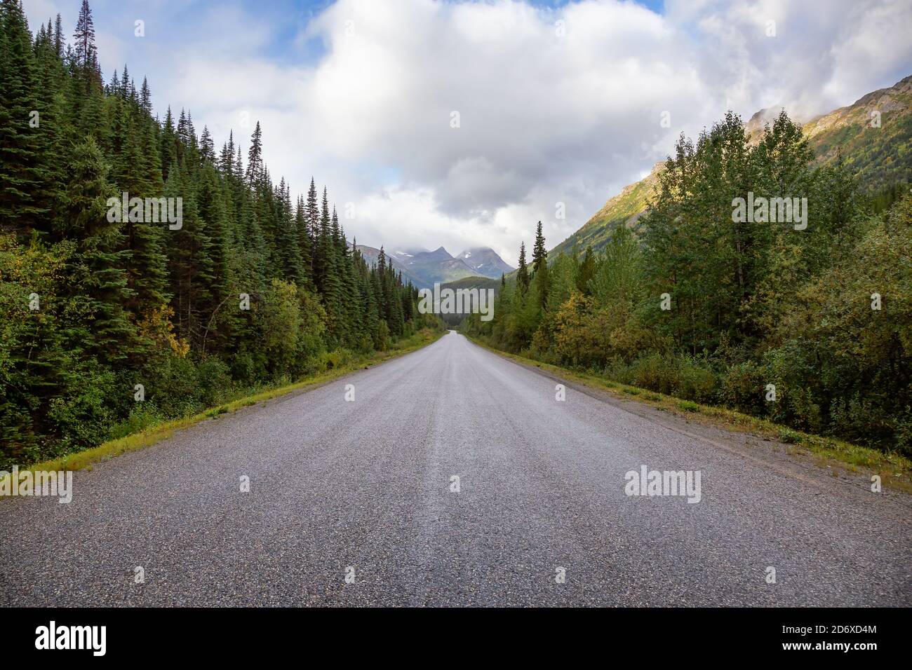 View of Scenic Road surrounded by Trees and Mountains Stock Photo - Alamy