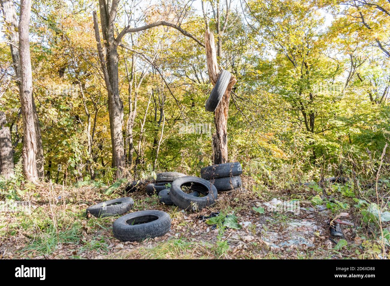 Garbage dump with old used and discarded car tires in garbage dump in a forest. Tires recycling ...