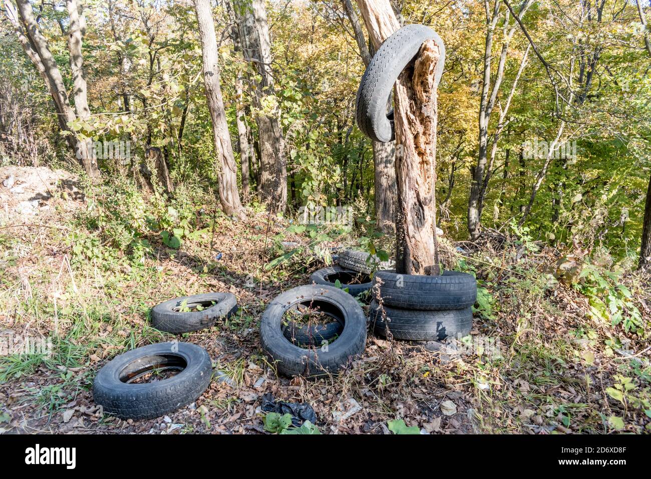 Garbage dump with old used and discarded car tires in garbage dump in a forest. Tires recycling ...