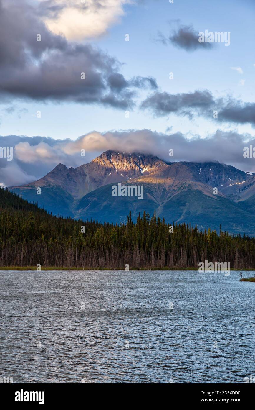 Beautiful lake surrounded by evergreen trees hi-res stock photography ...