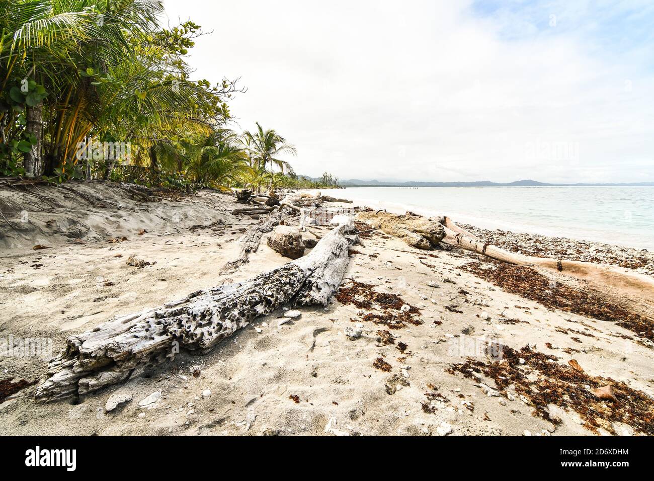 tropical beach and sea, in costa rica central america Stock Photo - Alamy