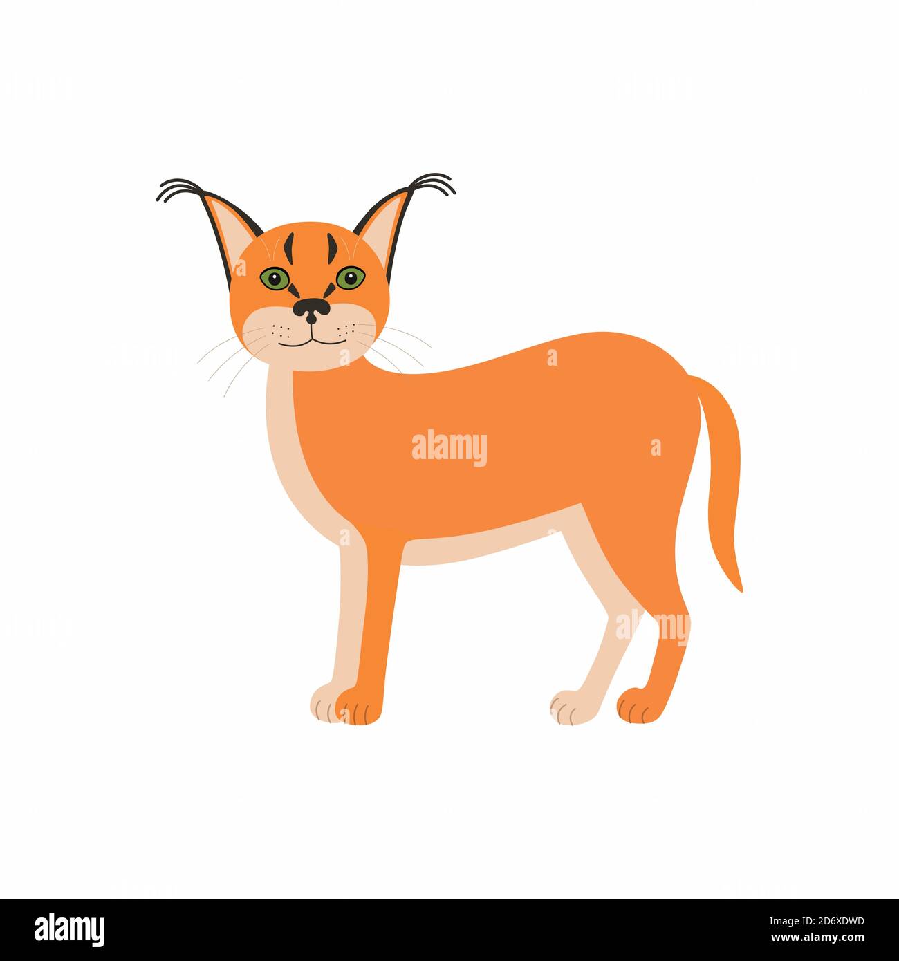 Cute animals caracal. Cartoon wild cat isolated on white background ...