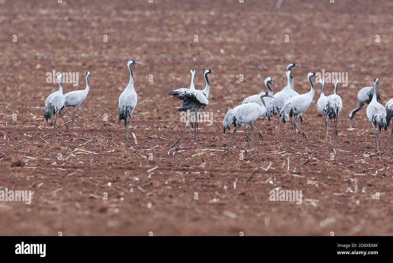 South of berga hi-res stock photography and images - Alamy