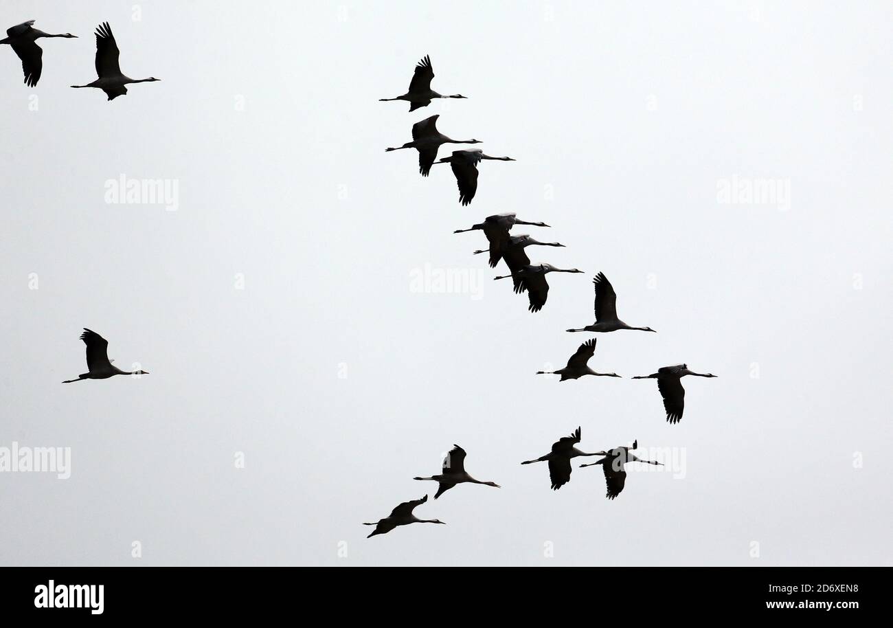 South of berga hi-res stock photography and images - Alamy