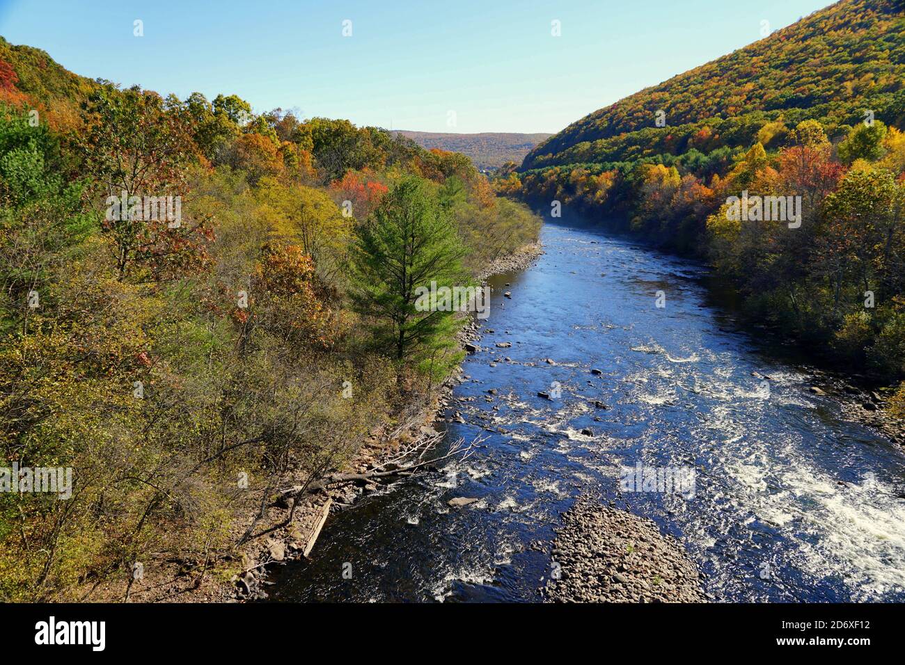 Striking colors of fall foliage near Lehigh River, Jim Thorpe ...