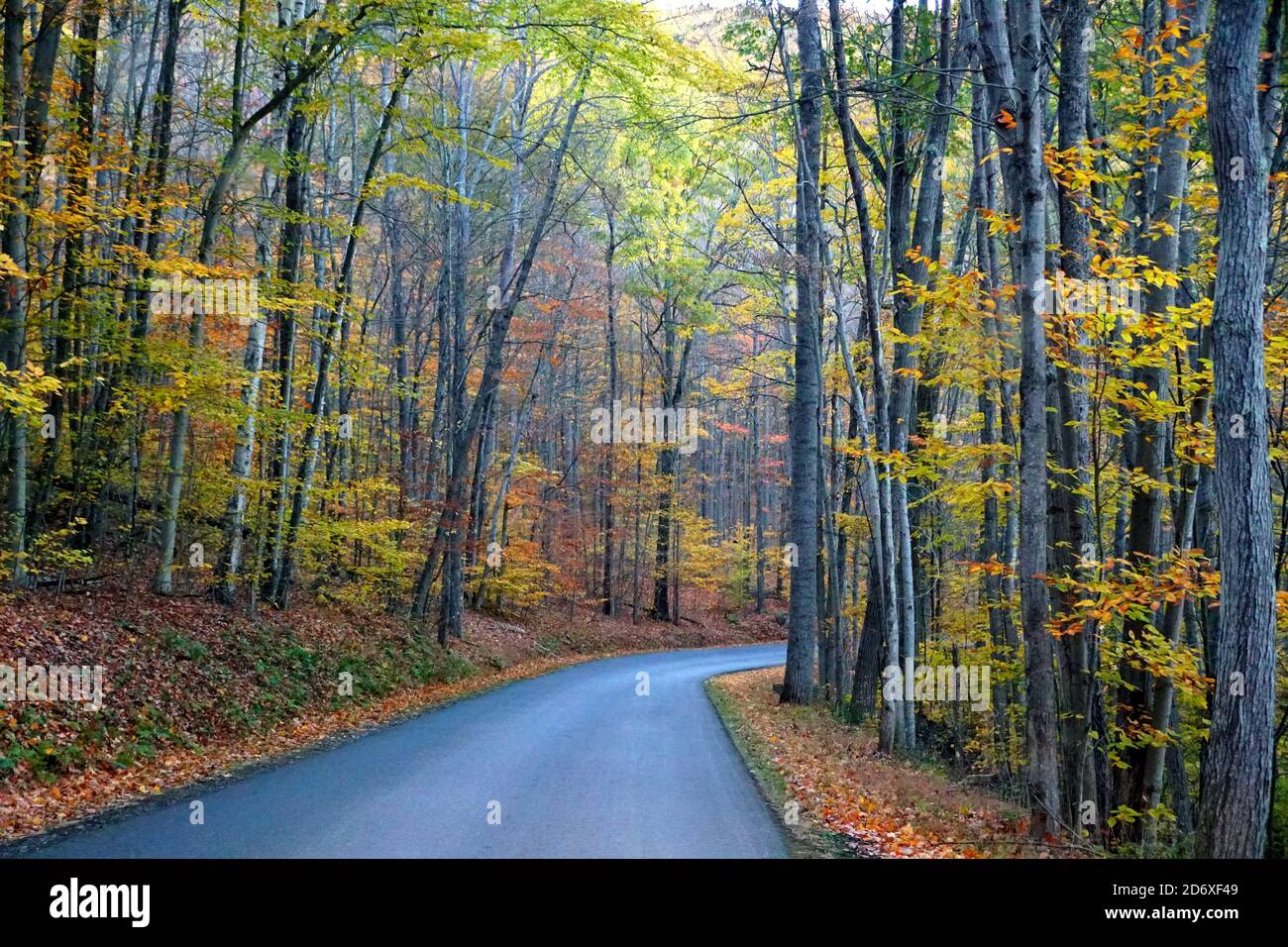 An empty road overlooking the striking colors of fall foliage near ...