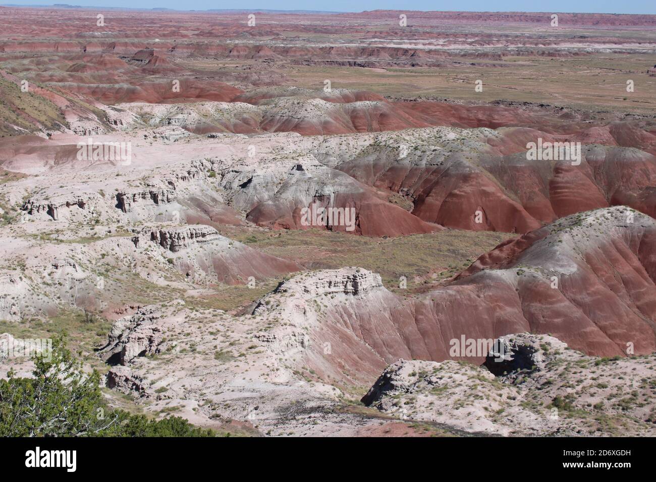 Painted desert landscape with colorful geologic structures in Petrified ...