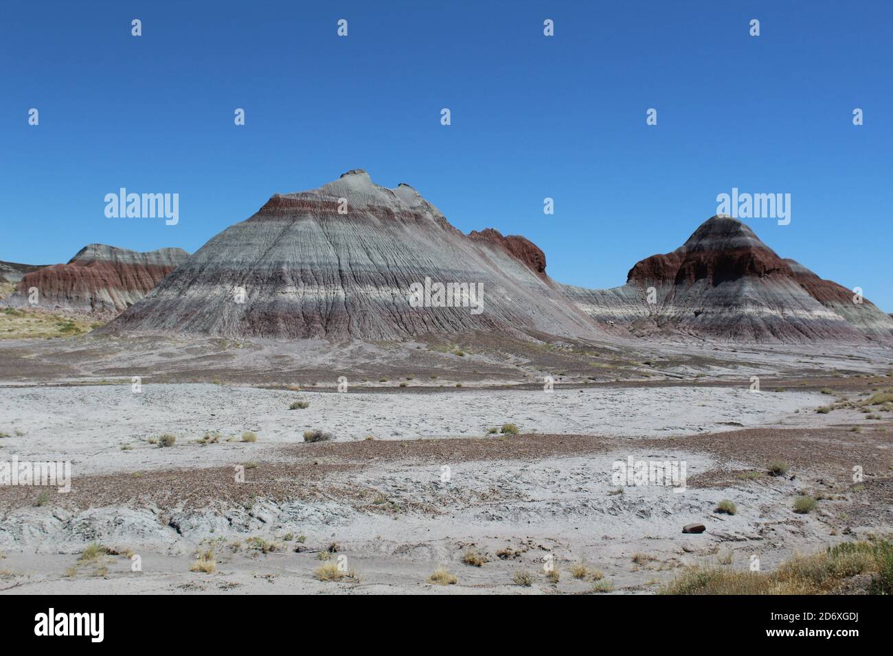Painted desert landscape with colorful geologic structures in Petrified ...