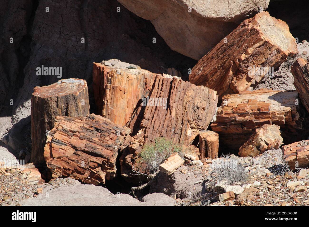 Pile of petrified wood piled up along a rock wall in Petrified Forest ...