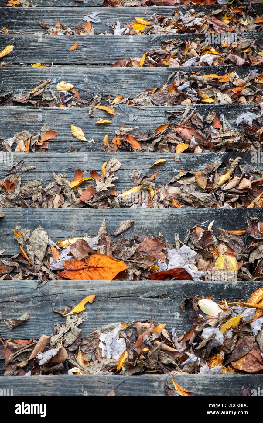 Stairs wooden hi-res stock photography and images - Alamy