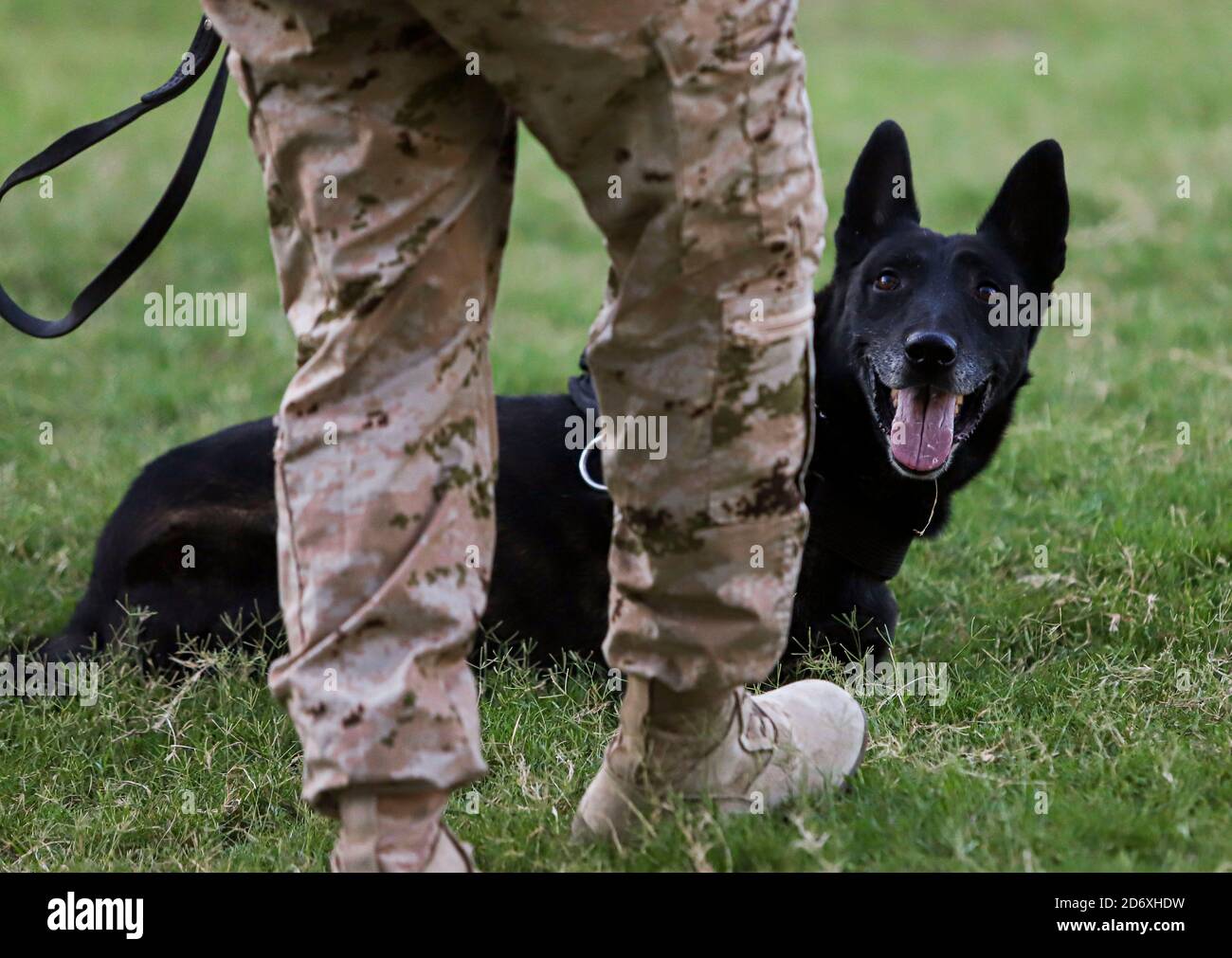 Canophile training demonstration of the Military Police by a welder ...