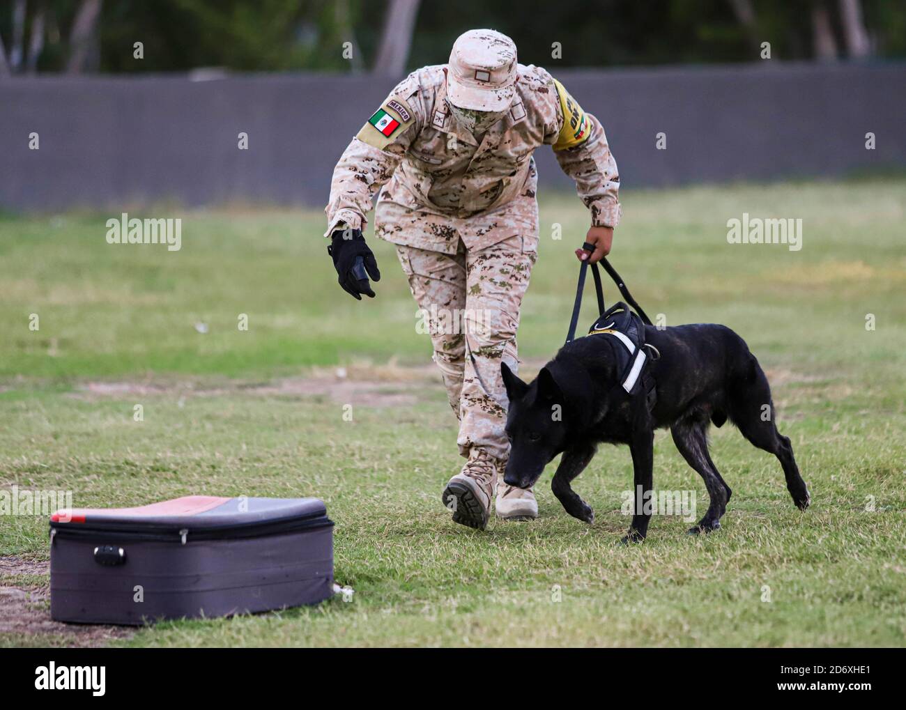 Canophile training demonstration of the Military Police by a welder ...