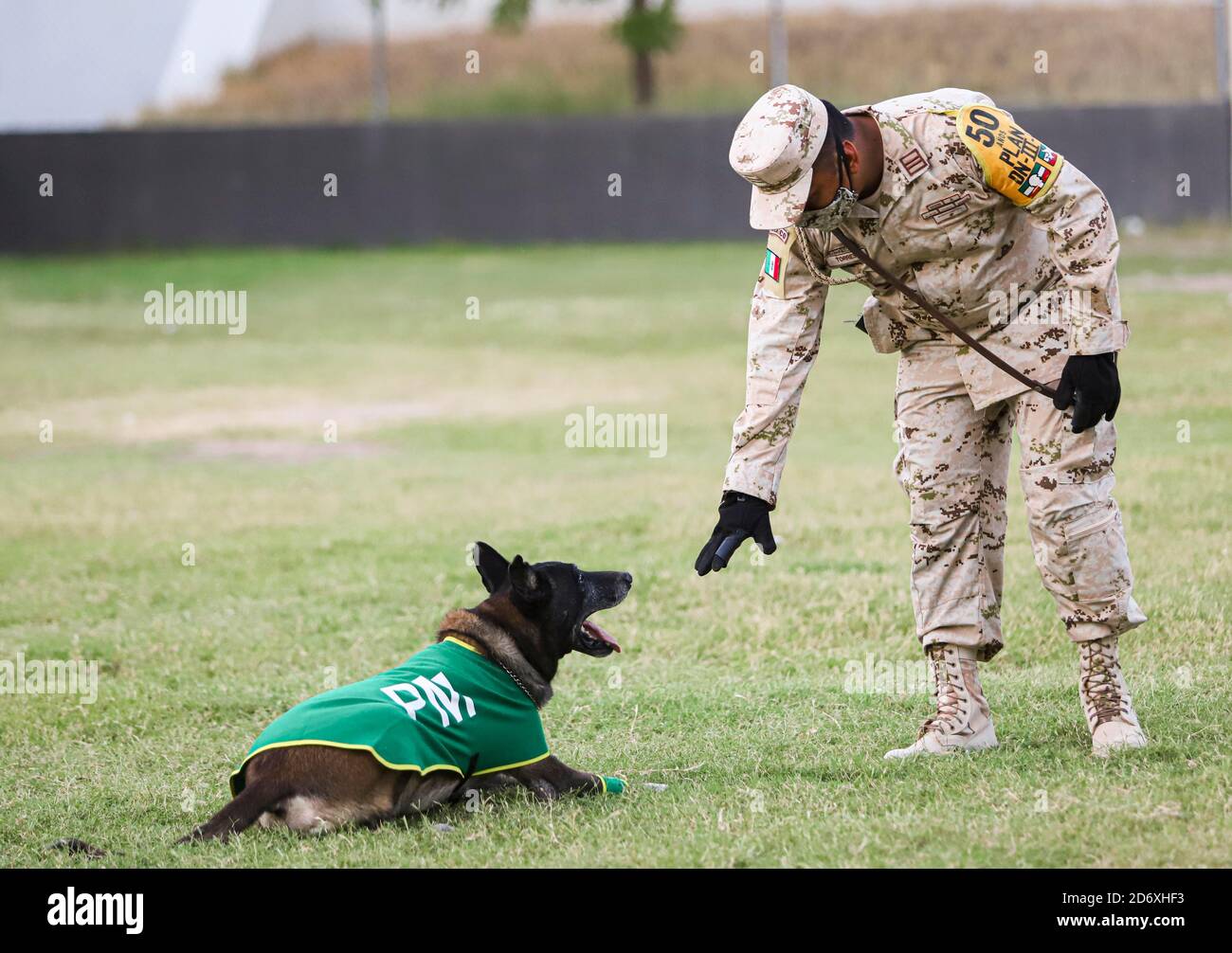 Canophile training demonstration of the Military Police by a welder ...