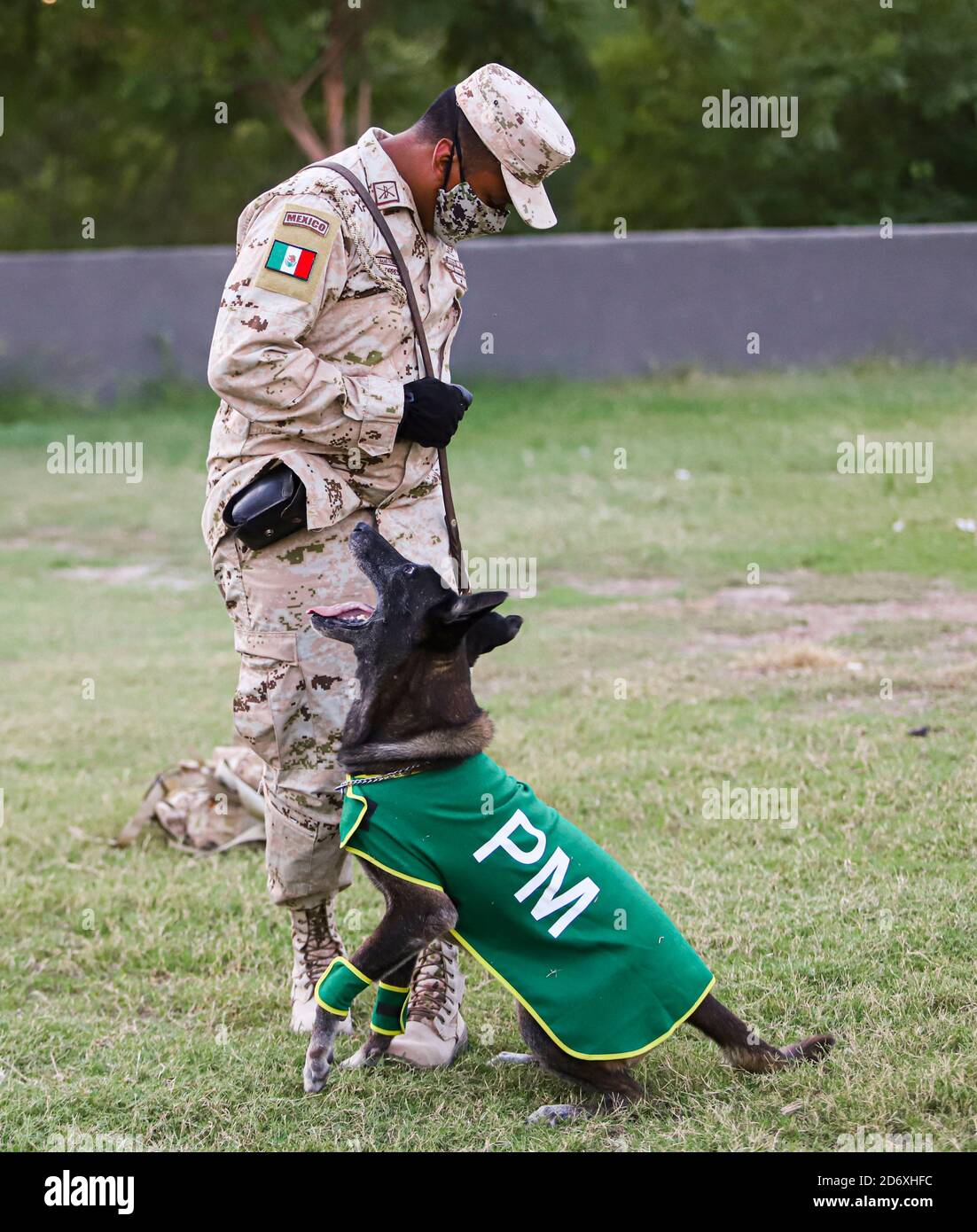 Canophile training demonstration of the Military Police by a welder ...