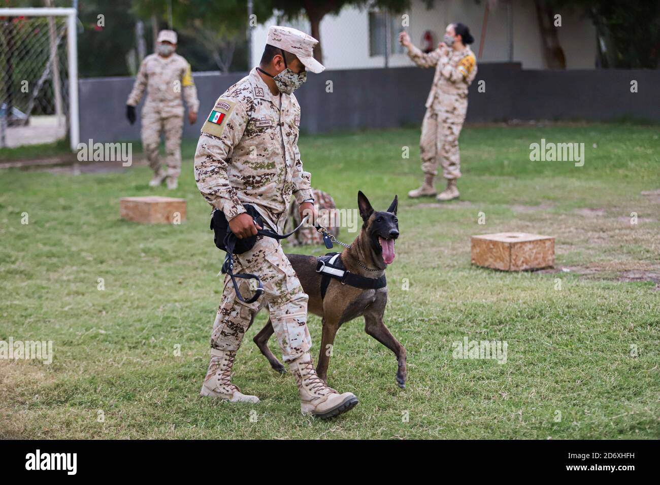 Canophile training demonstration of the Military Police by a welder ...