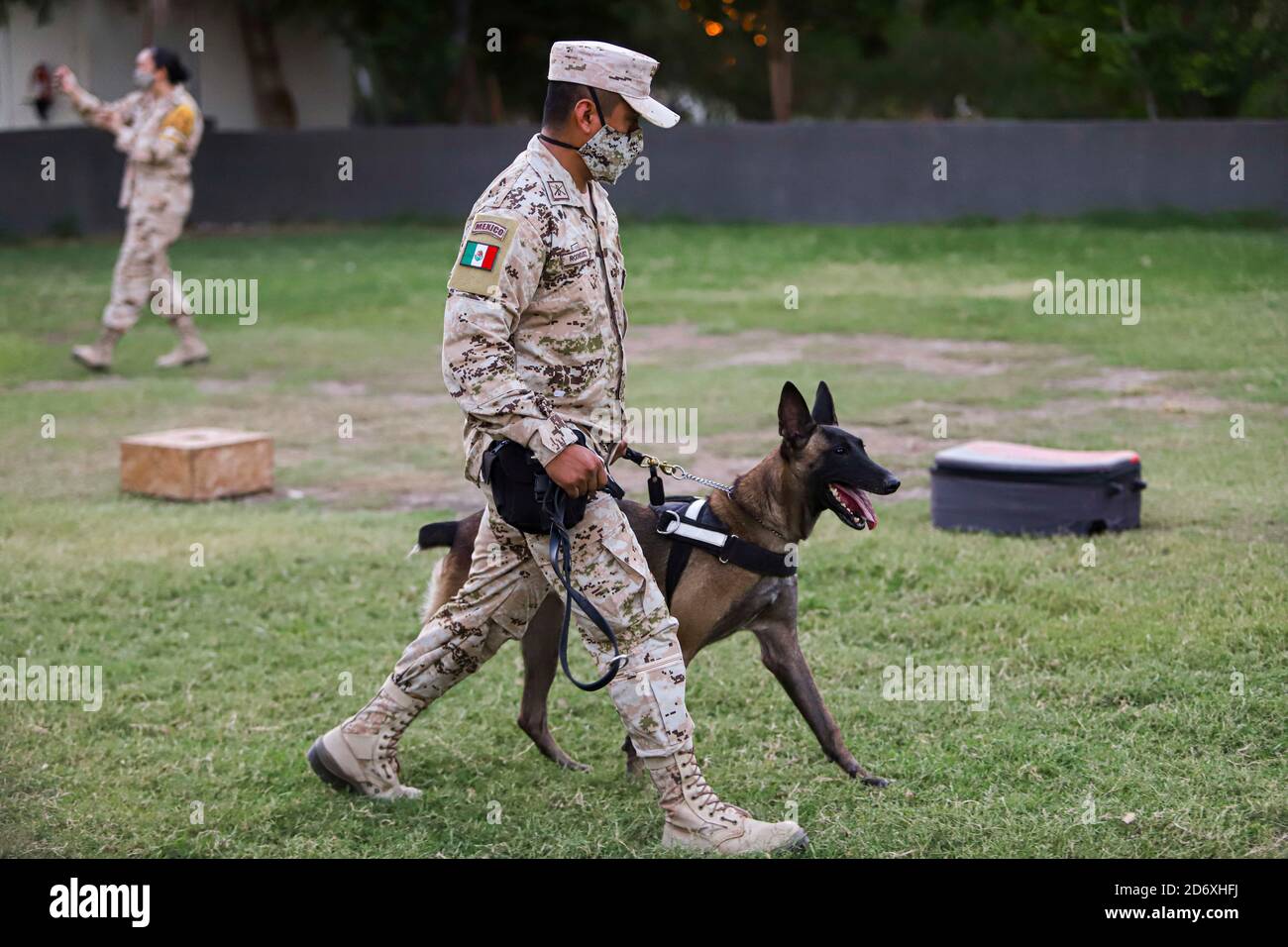Canophile training demonstration of the Military Police by a welder ...