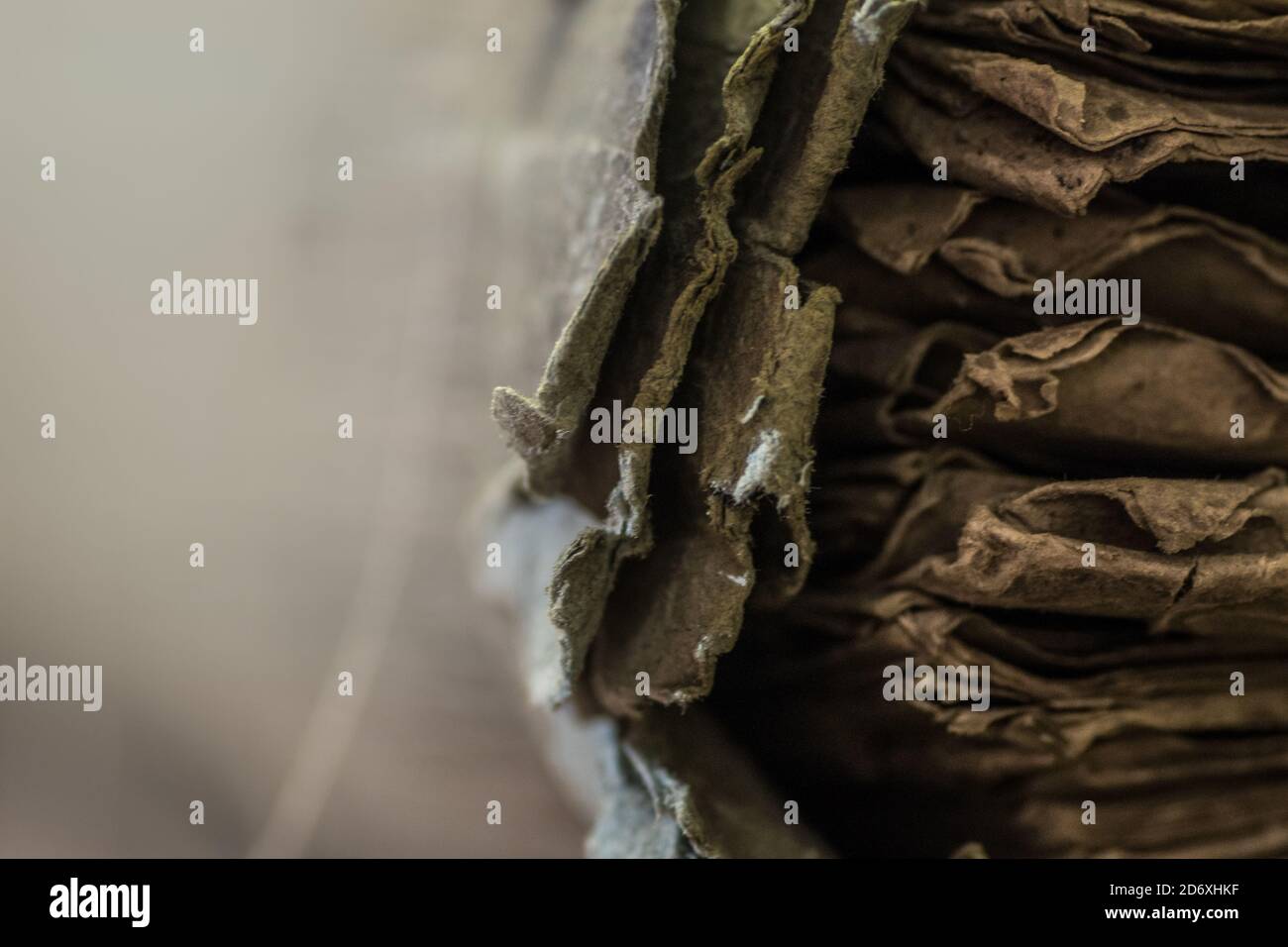 Antique documents hi-res stock photography and images - Alamy