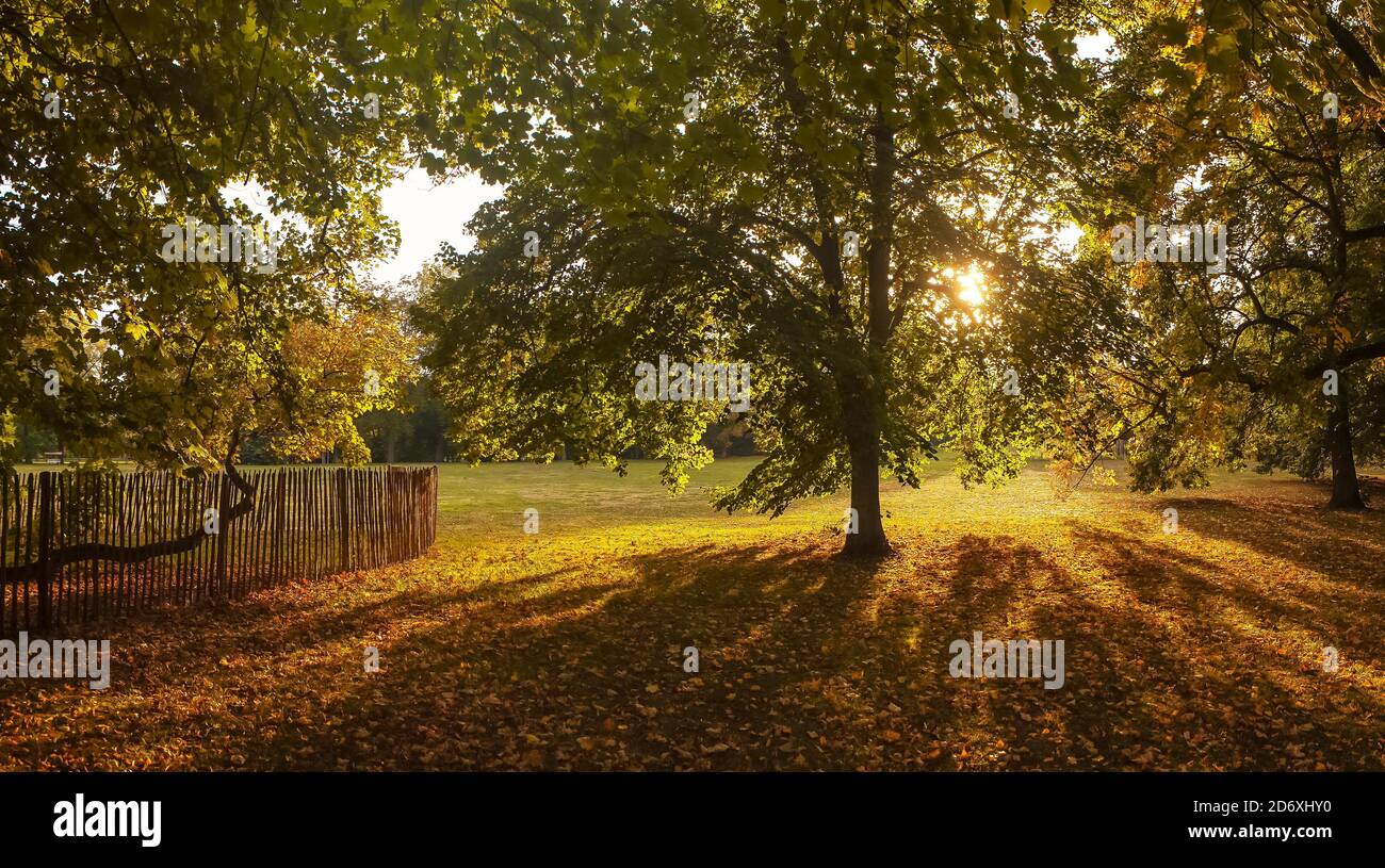 Beautiful autumn scenic in october in public park in germany Stock ...
