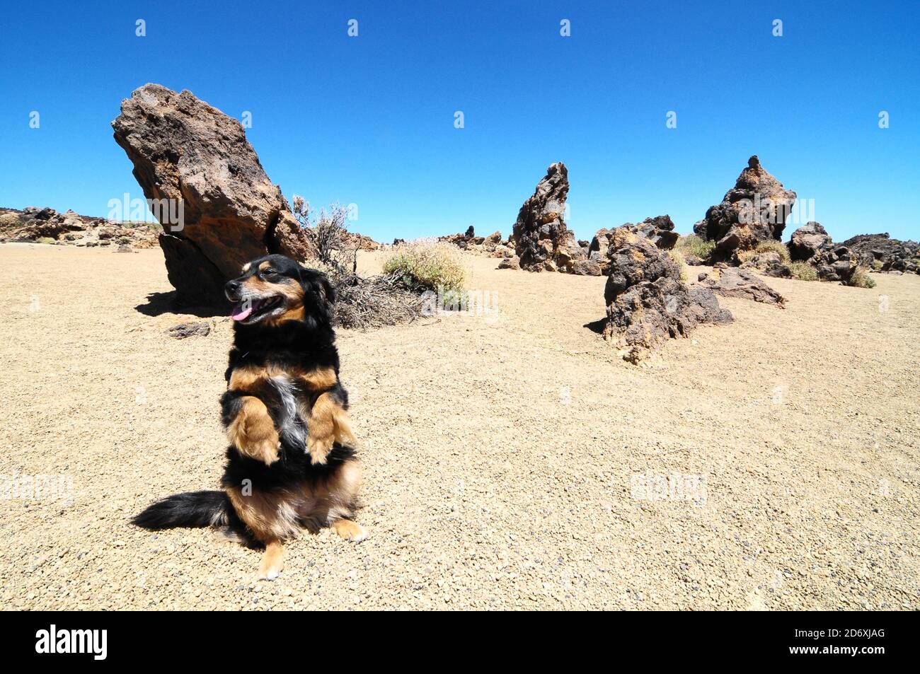 Sand and Rocks Desert Stock Photo - Alamy