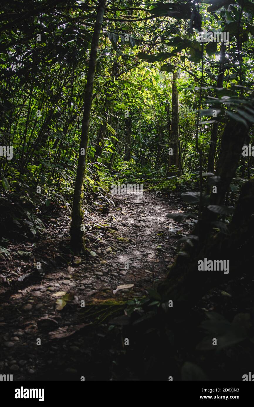 Tourism documentary hi-res stock photography and images - Alamy