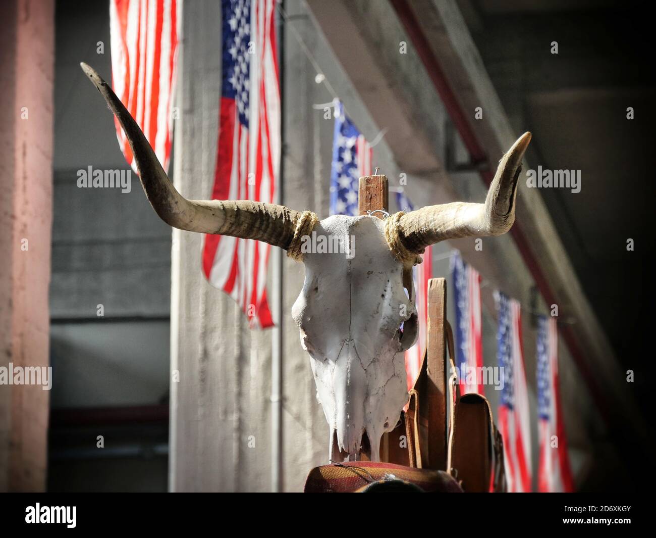 Bull horn american flags hi-res stock photography and images - Alamy