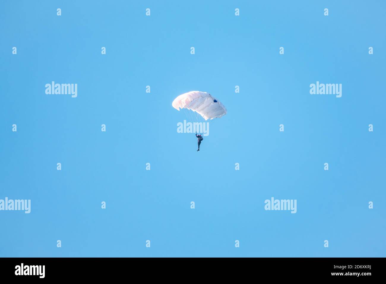 Professional skydiver fly on parachute hi-res stock photography and ...