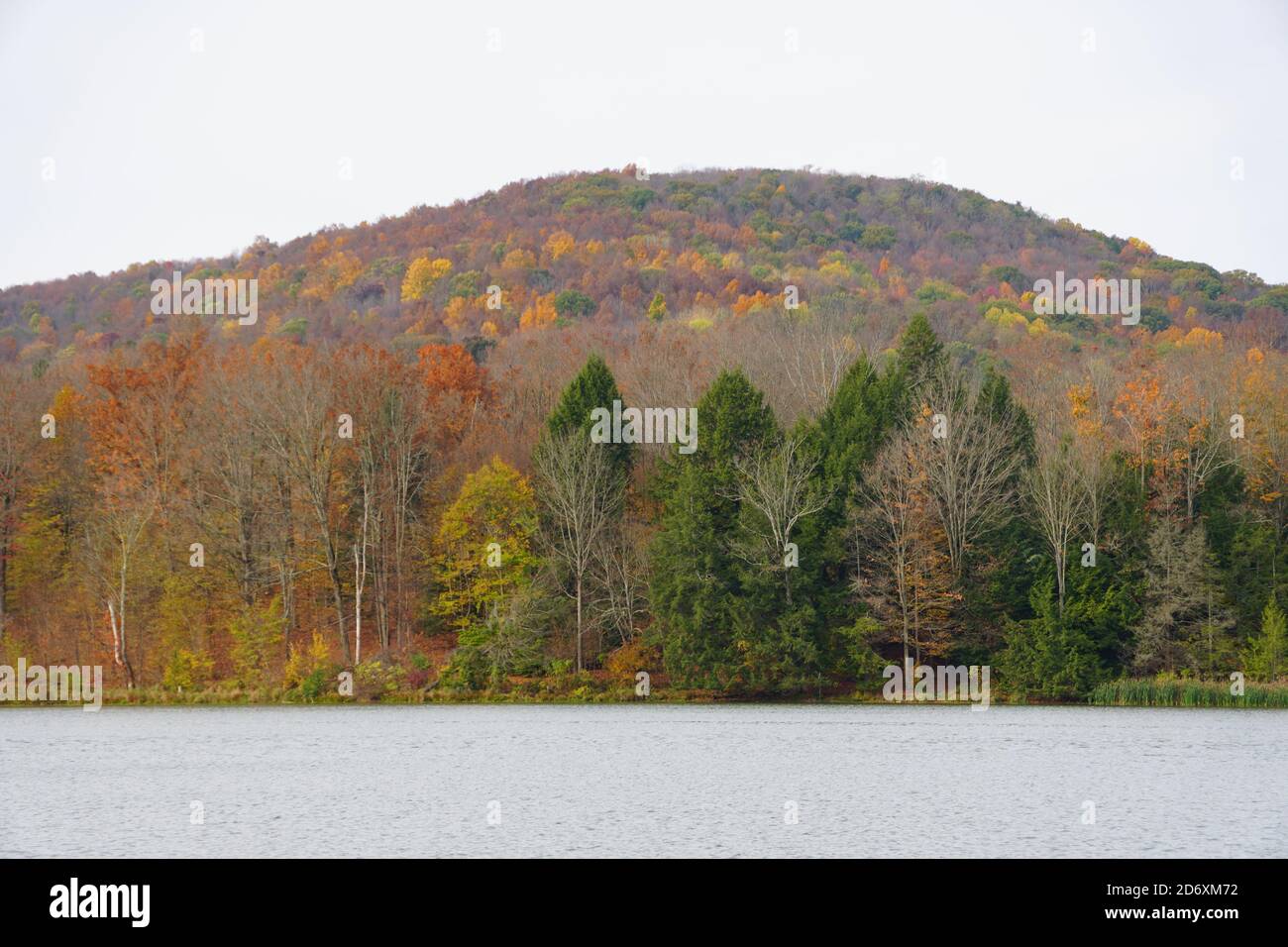 Striking fall foliage by the lake near Mount Pisgah State Park, Troy ...