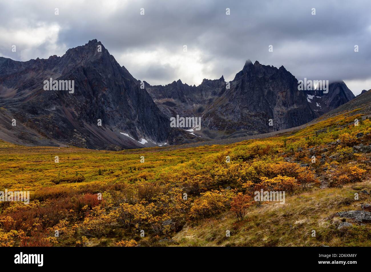 Yukon during the fall colors hi-res stock photography and images - Alamy
