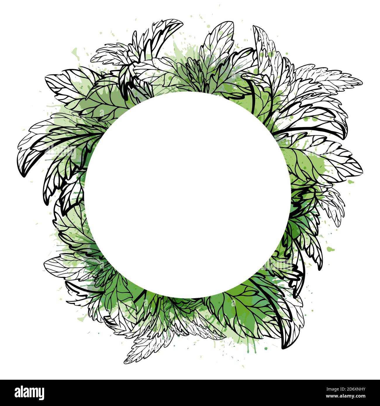 Mint leaves splashes green Cut Out Stock Images & Pictures - Alamy