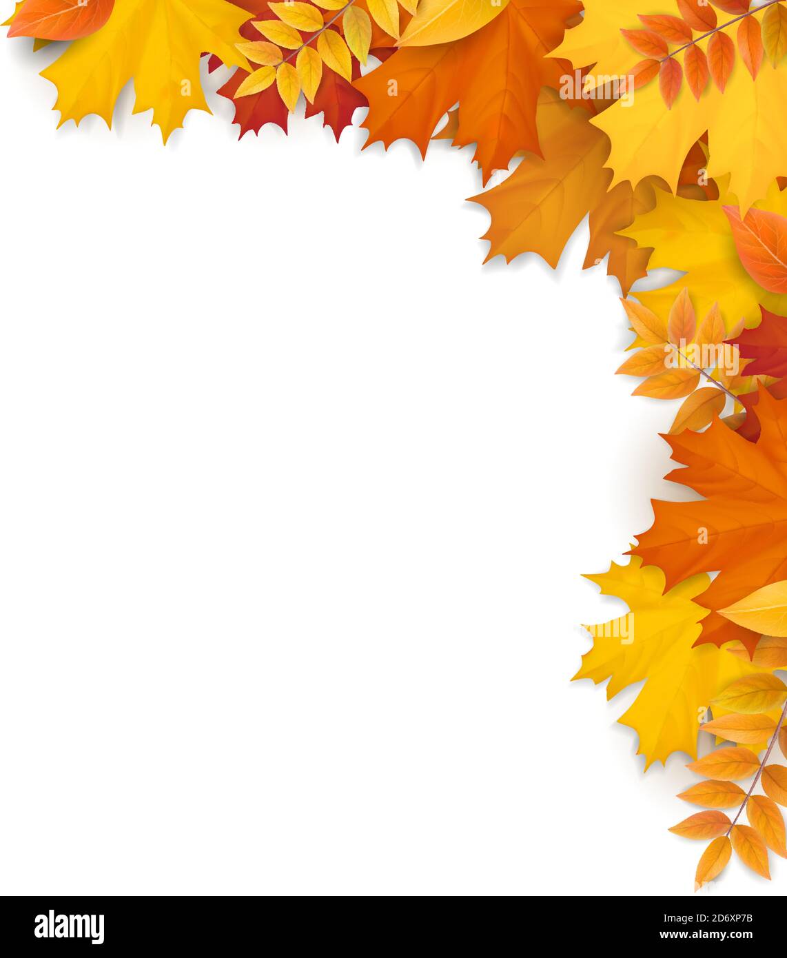 Autumn fallen leaves frame. Realistic vector illustration Stock Vector ...