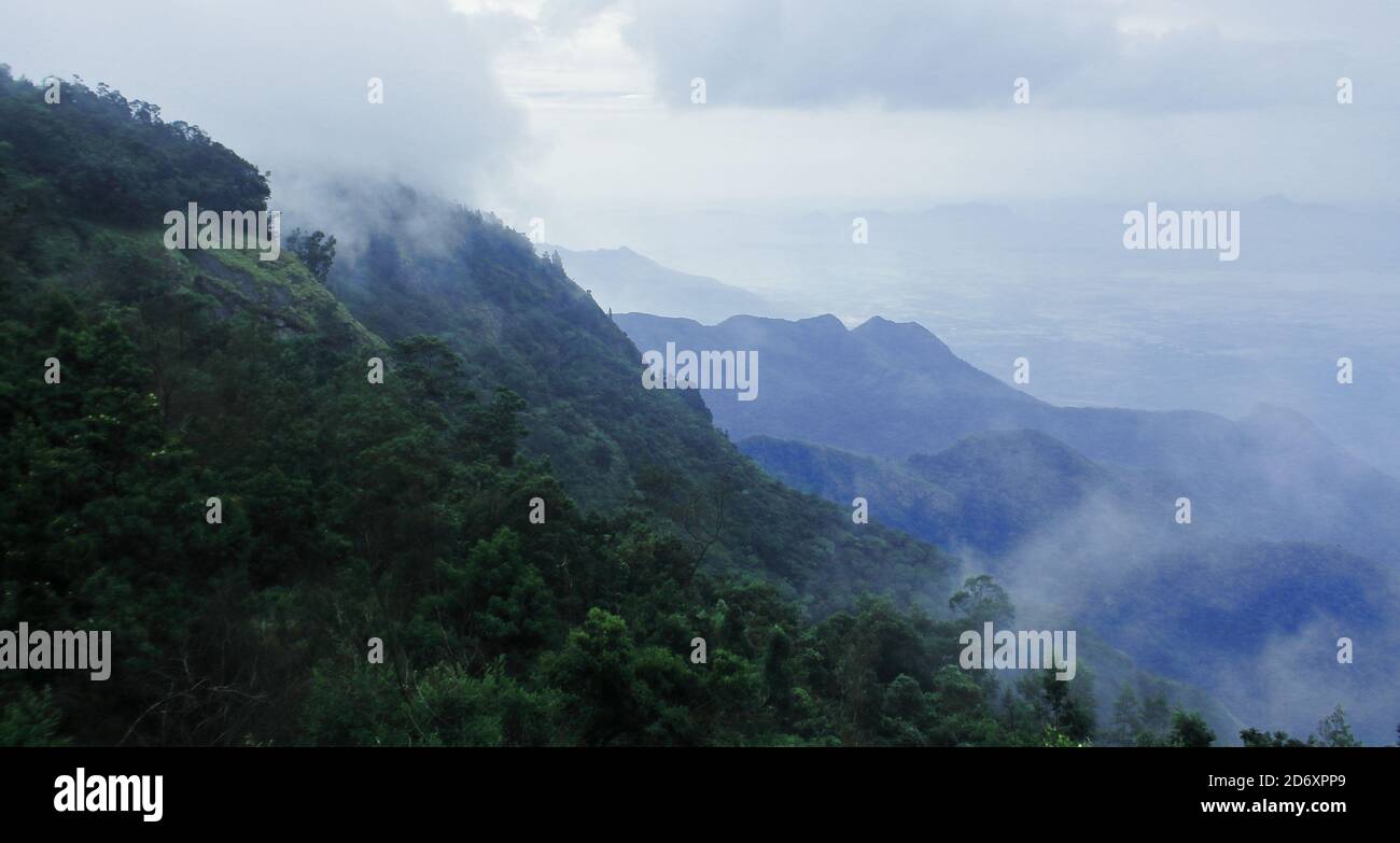 tropical rainforest, on the slope of palani mountain range (southern ...