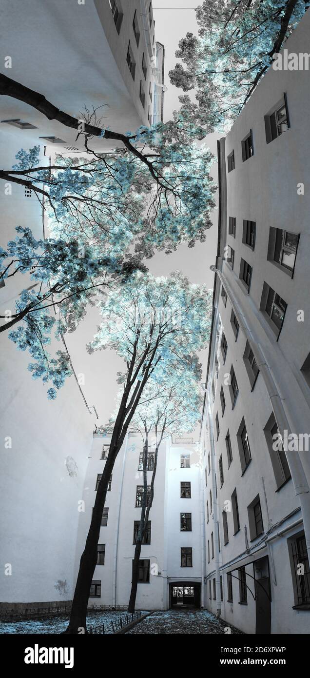infrared photography. houses in the city of St. Petersburg. Russia ...